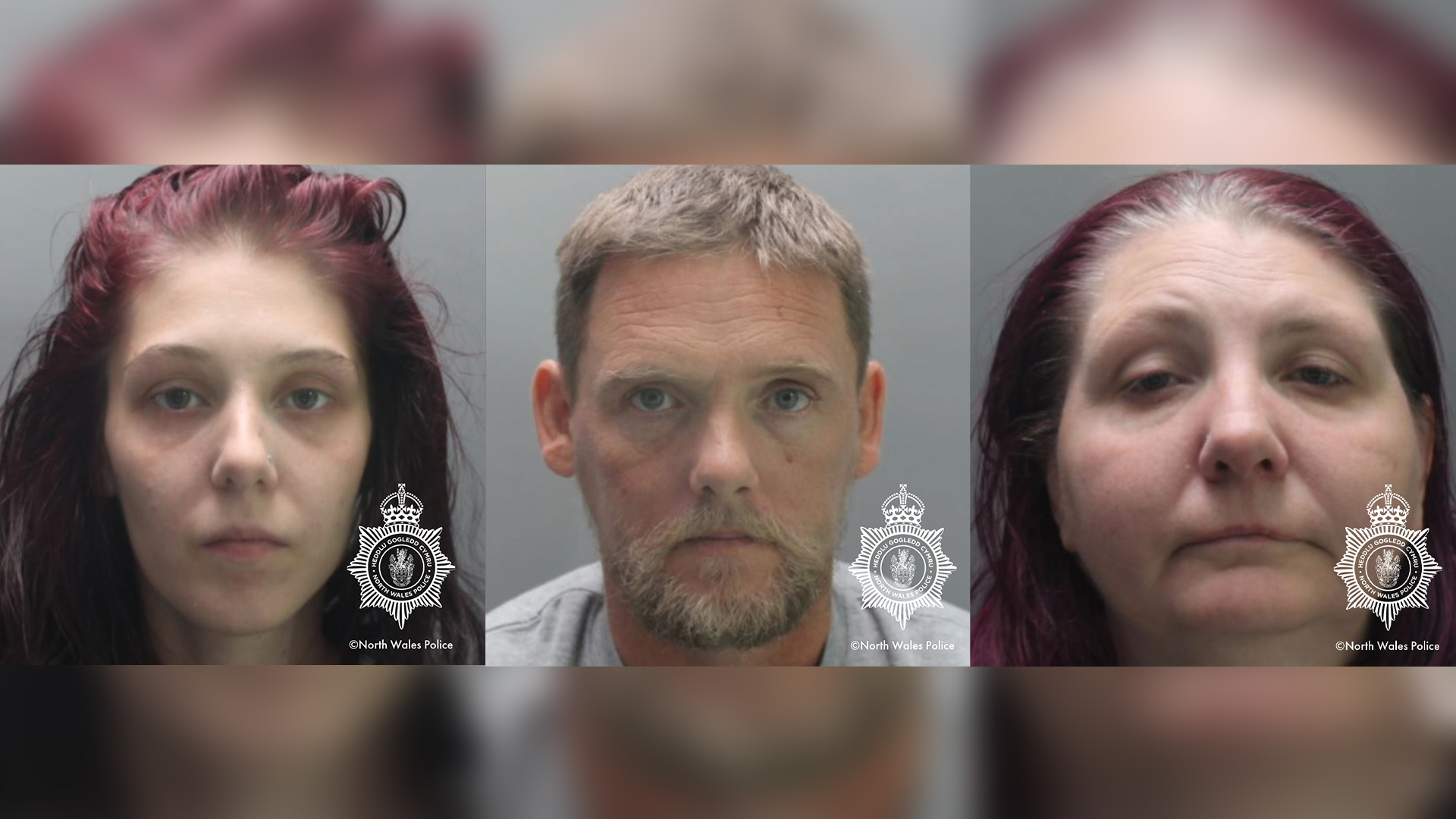 Couple who murdered grandson in North Wales jailed for life